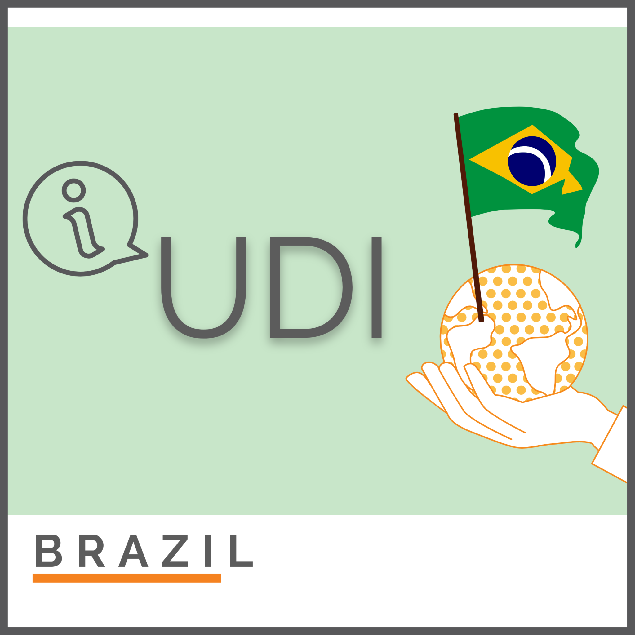 UDI Resolution in Brazil: What needs to be considered? - tracekey ...